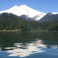 Worksheets | Therapy with Pam